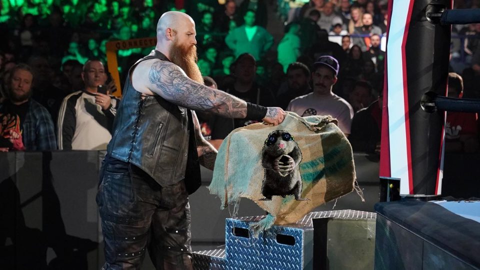 Erick Rowan Reveals What Was Really In His Cage - WrestleTalk