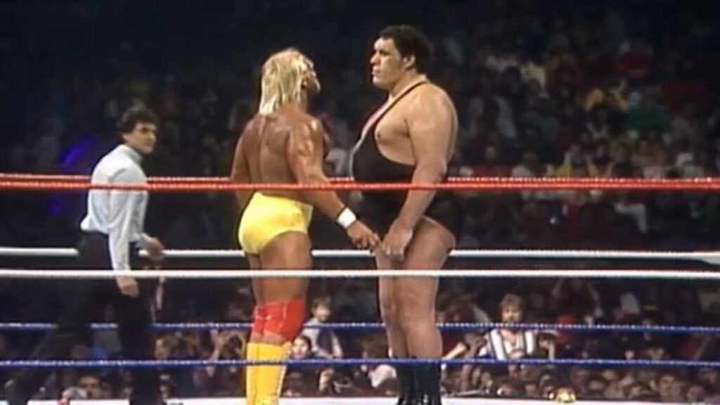 9 Matches To Be Inducted Into WWE Hall Of Fame 2026 - Page 9 of 9 ...