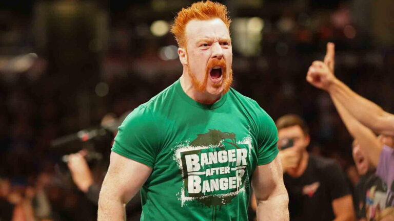 Sheamus WWE Retirement Update - WrestleTalk