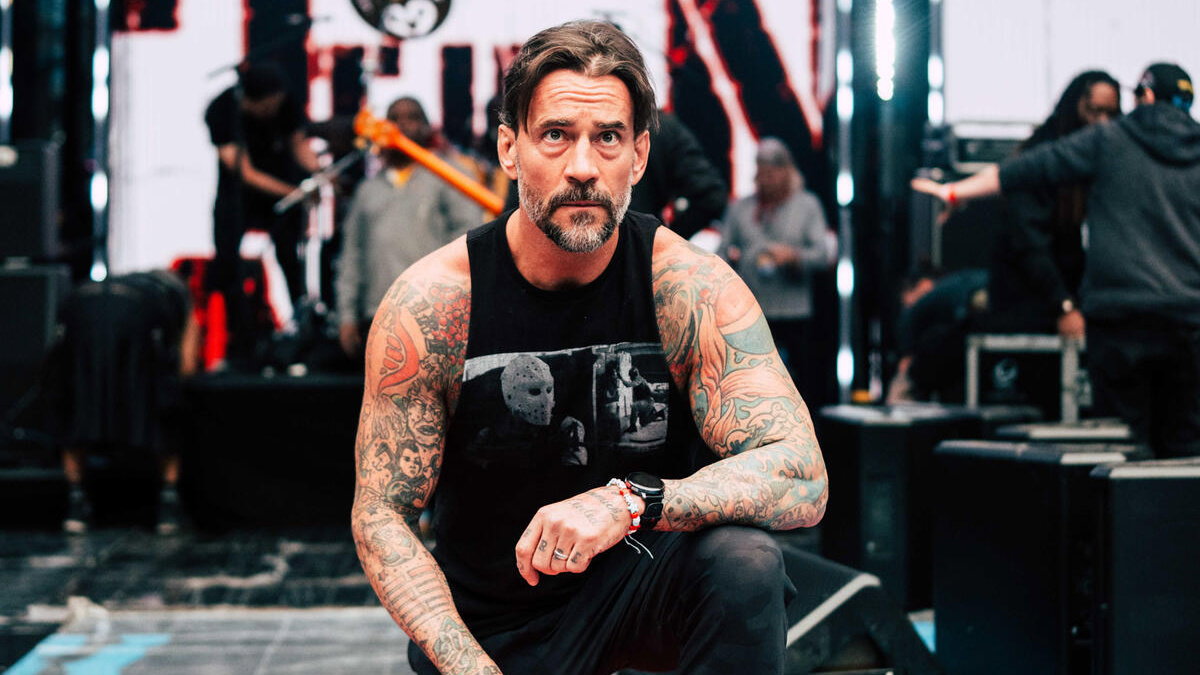 Former WWE Star Praises CM Punk As 'Genius', Doubts Future Producer ...